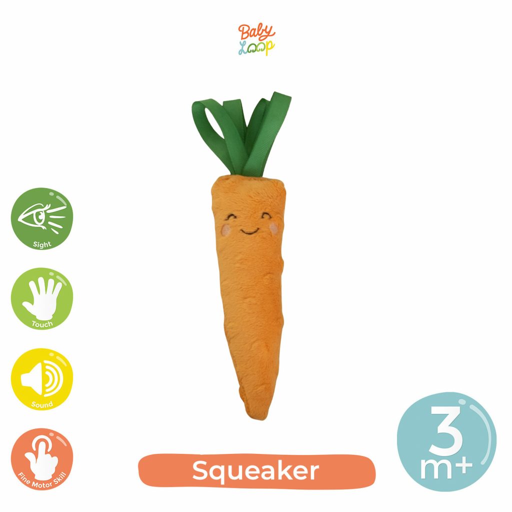 Home Page - Baby Loop